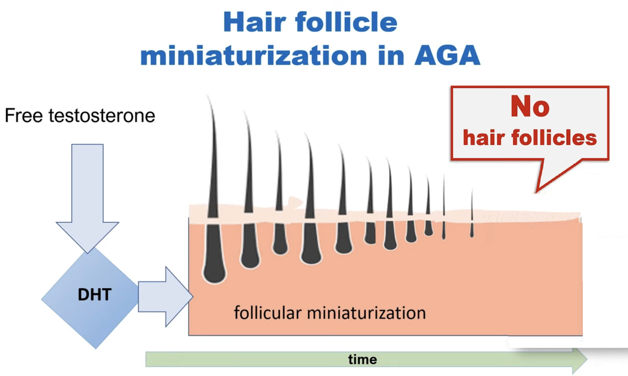 VIP Hair Restoration - VIP Health and Laser Clinic Gainesville, FL
